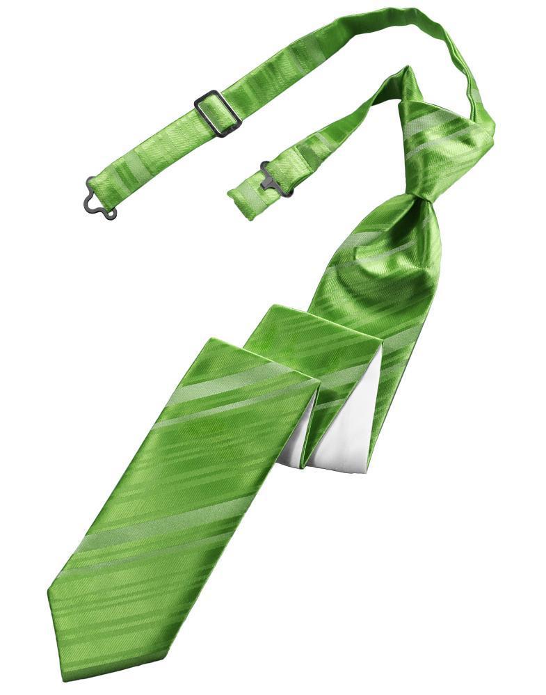 Kelly Striped Satin Skinny Necktie – CardiFormalWear.com